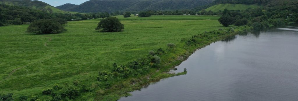 Streambank Erosion Remediation | Neilly Group for the environment