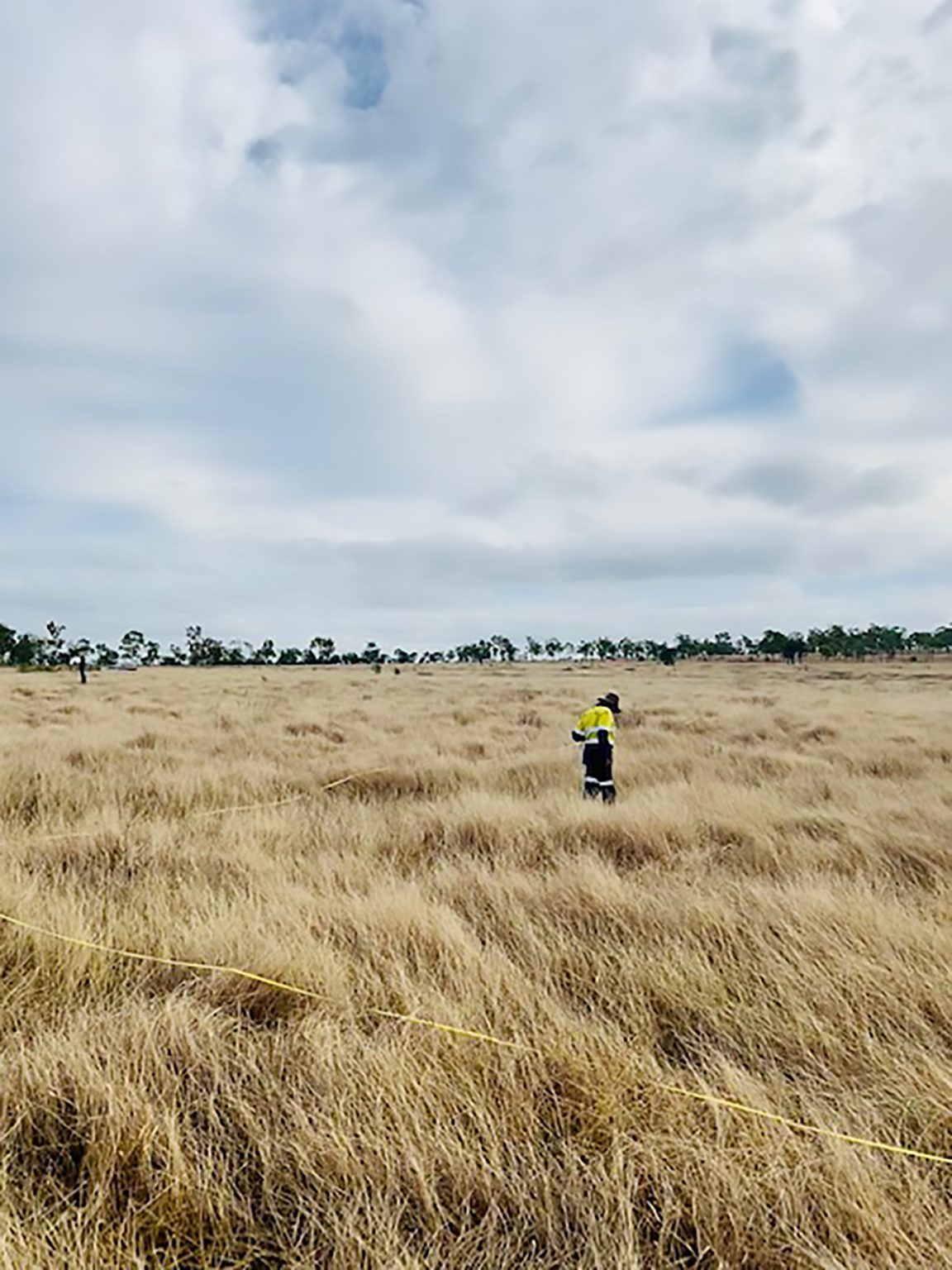 Ecological Assessments | Neilly Group for the environment