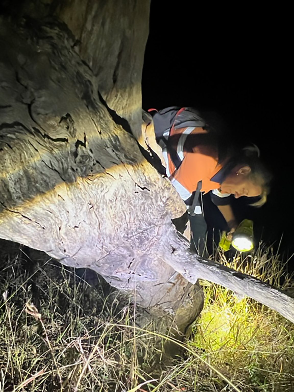 Environmental management, permits and approvals | Neilly Group for the ...