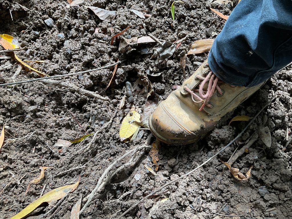 Ecological Assessments | Neilly Group for the environment