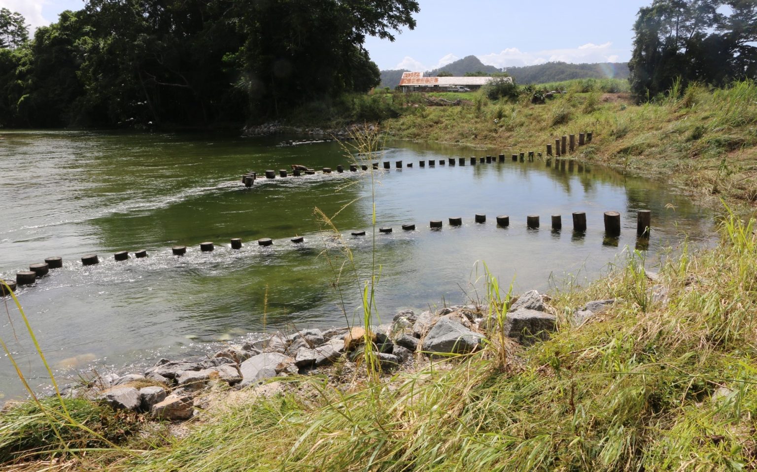 Waterway Engineering | Neilly Group for the environment