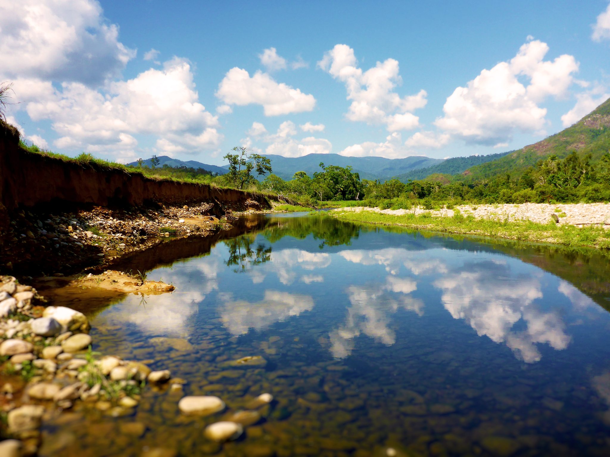 Queensland | Neilly Group for the environment
