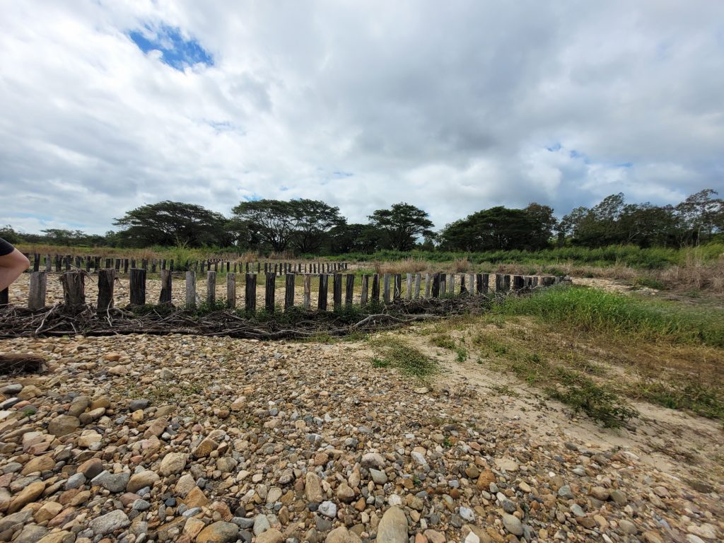 Streambank Erosion Remediation | Neilly Group for the environment