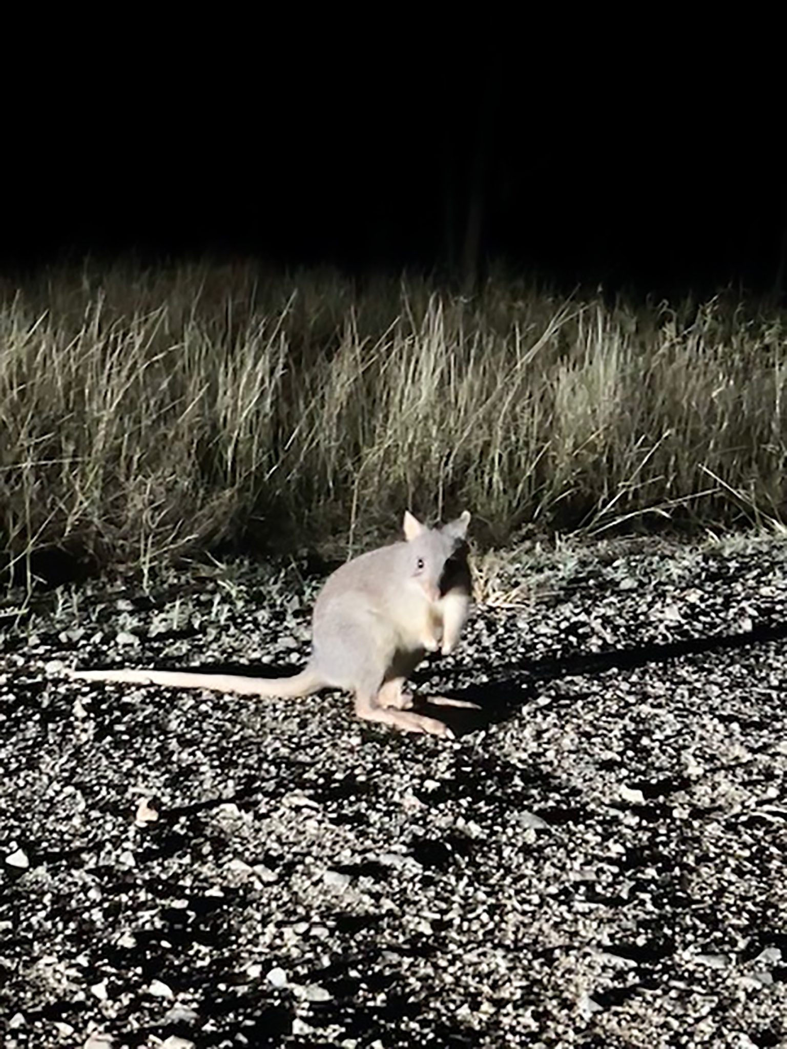 Environmental management, permits and approvals | Neilly Group for the ...