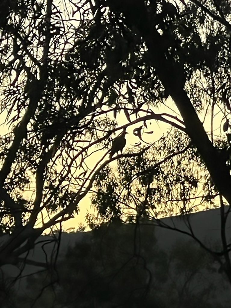 Environmental management, permits and approvals | Neilly Group for the ...