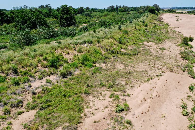 Burdekin River Pile Field, NQ Dry Tropics | Neilly Group for the ...