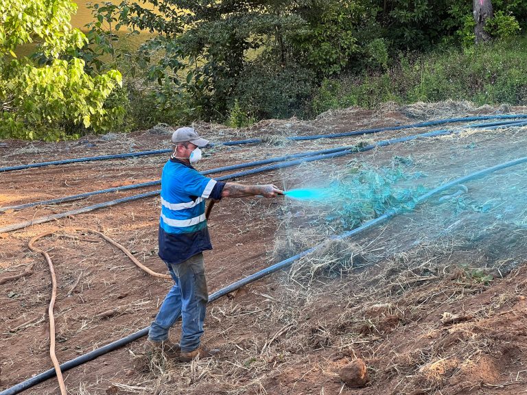 Building Capability | Neilly Group for the environment