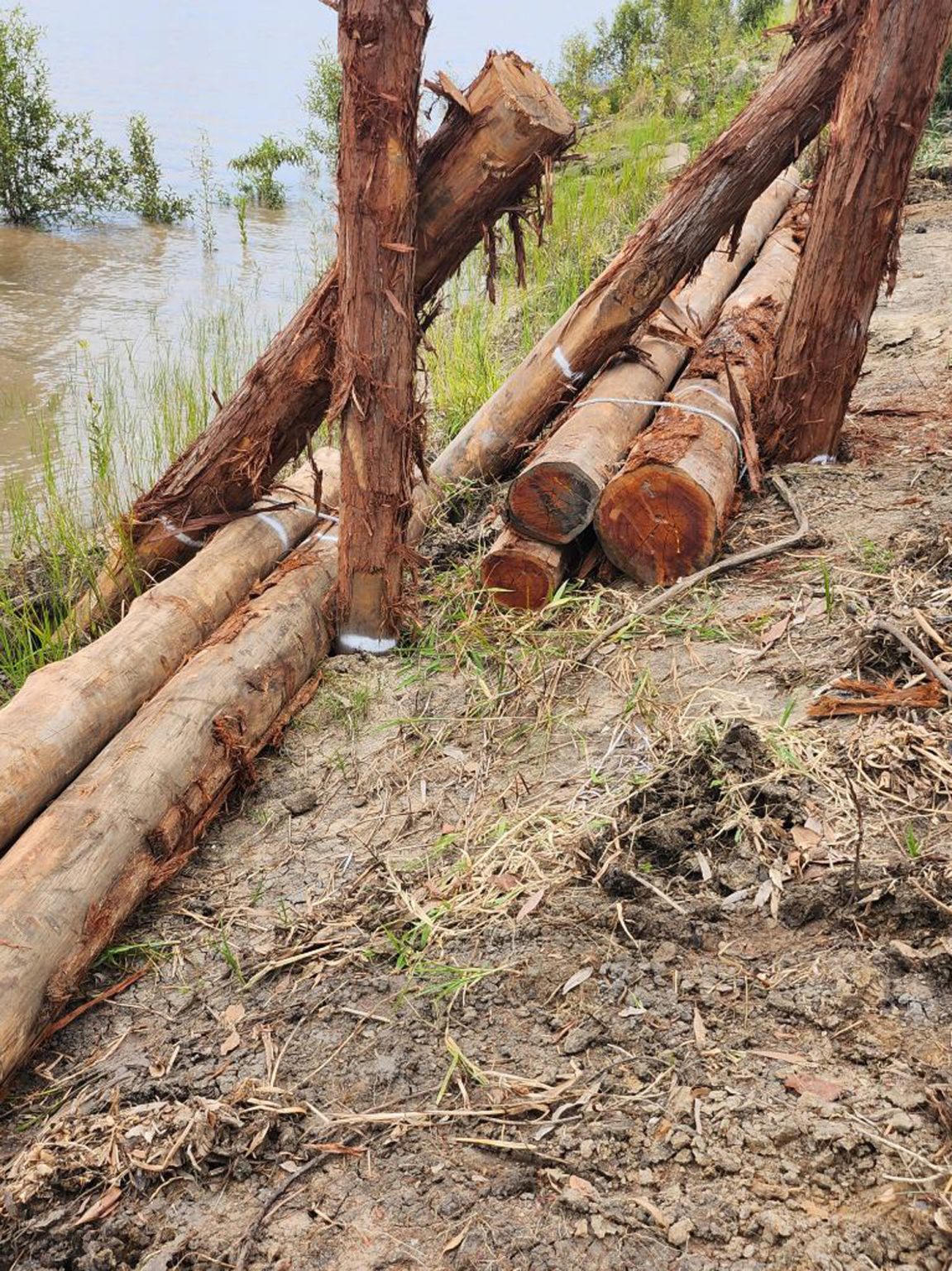 Building Capability | Neilly Group for the environment