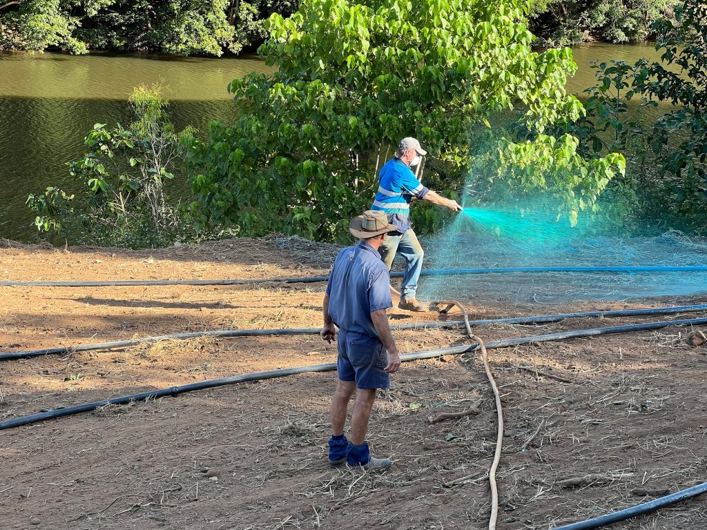 Building Capability | Neilly Group for the environment