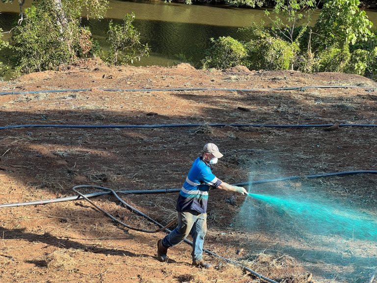 Building Capability | Neilly Group for the environment