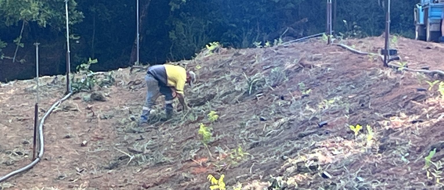 Building Capability | Neilly Group for the environment