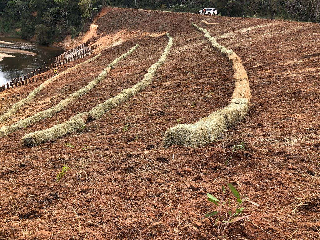 Building Capability | Neilly Group for the environment