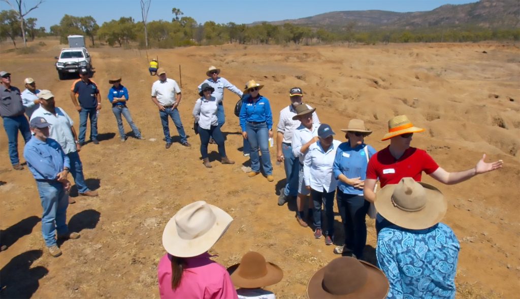 Facilitating Learning | Neilly Group for the environment